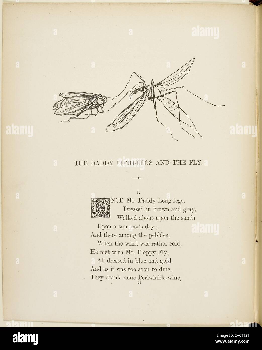 Fly and daddy long-legs. Verse and illustrations from A Book of ...