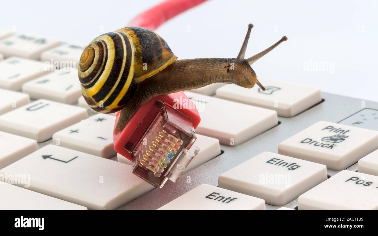 Slow Internet Access Stock Photo - Alamy