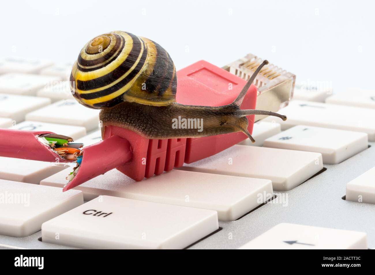 Slow Internet Access Stock Photo - Alamy