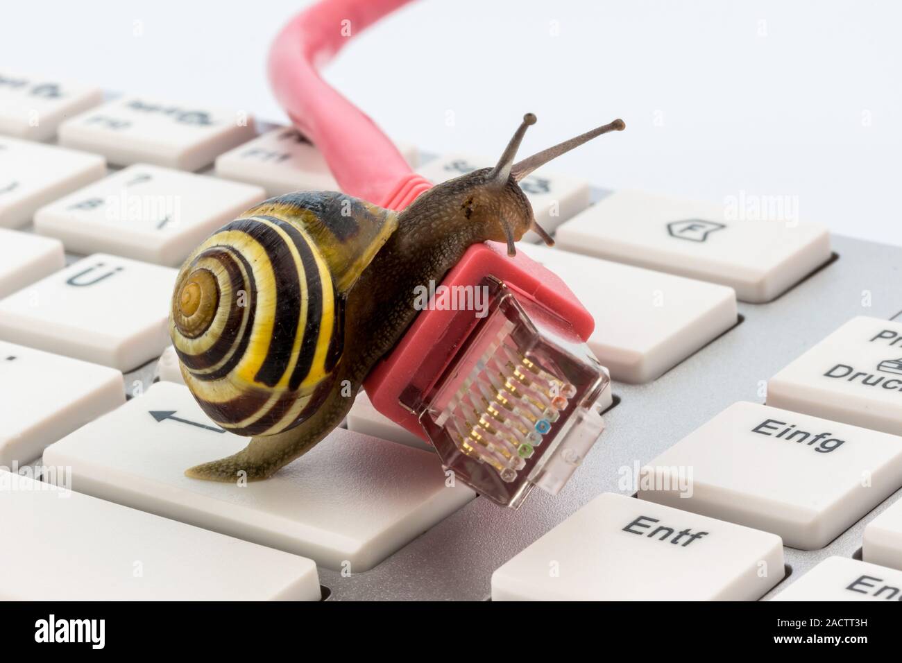Slow Internet Access Stock Photo - Alamy