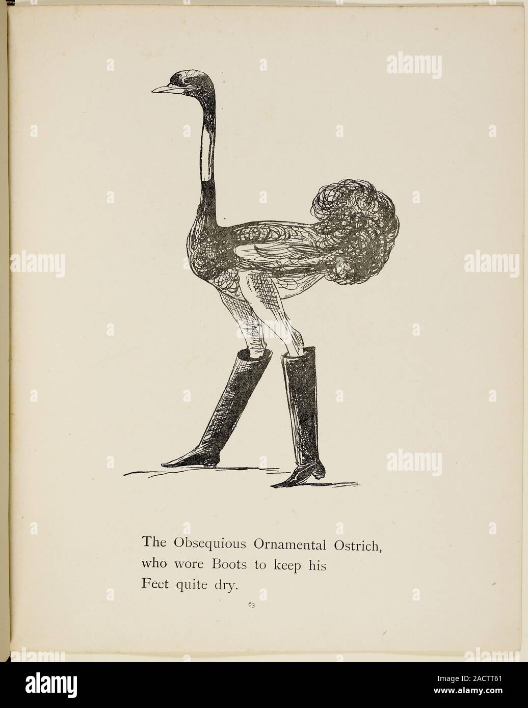 Ostrich wearing boots From a collection of poems and songs by Edward ...