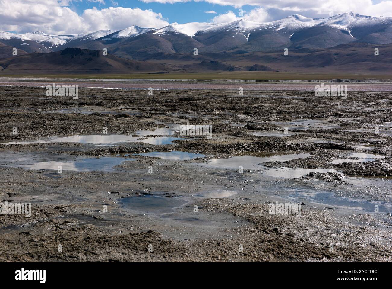 Tso Kar lake in Ladakh, India Stock Photo - Alamy