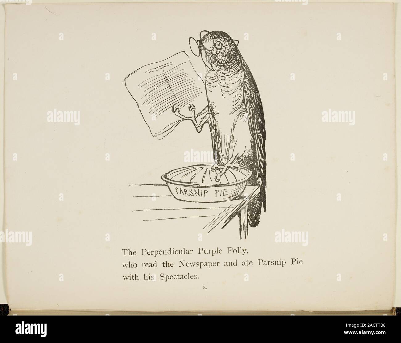 Parrot reading newspaper Illustration and verse from Nonsense Botany ...