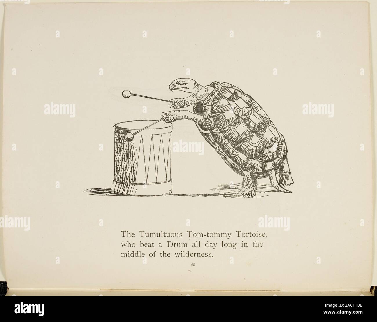 Tortoise playing a drum Illustration and verse from Nonsense Botany ...