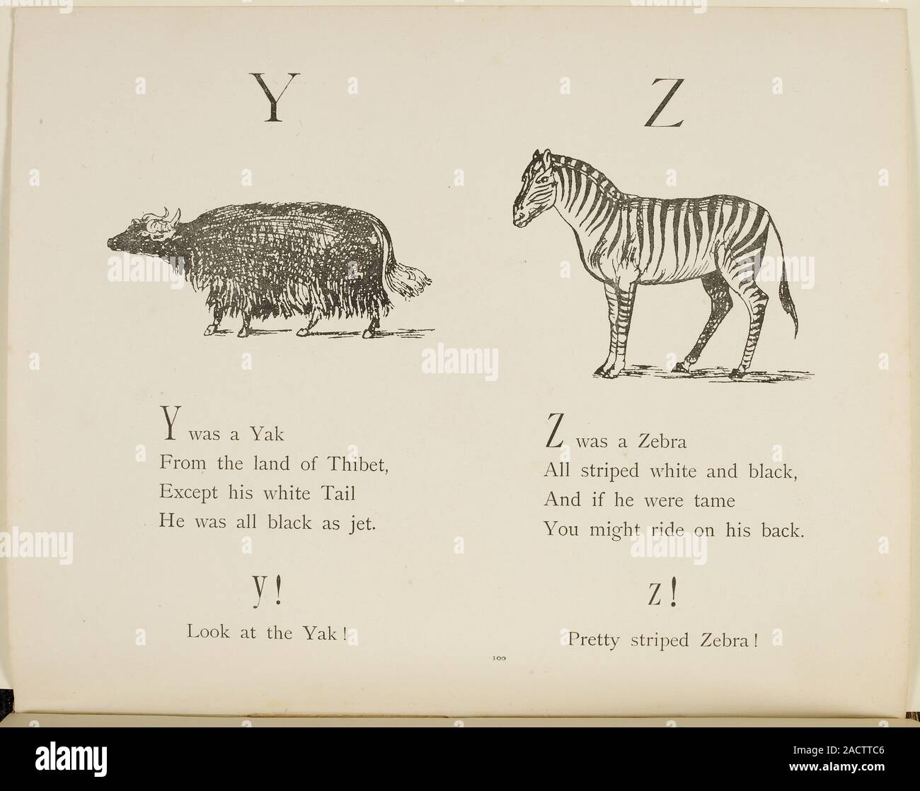 Yak and Zebra Illustrations and verses from Nonsense Alphabets drawn ...