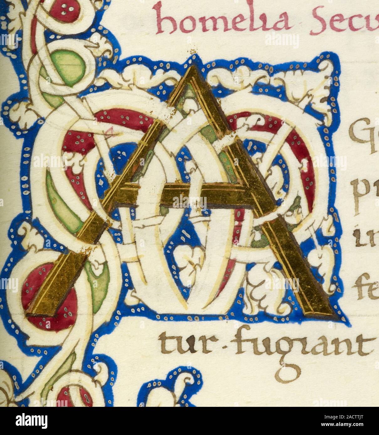 Manuscript illustration An alphabet initial ornamental letter from a ...