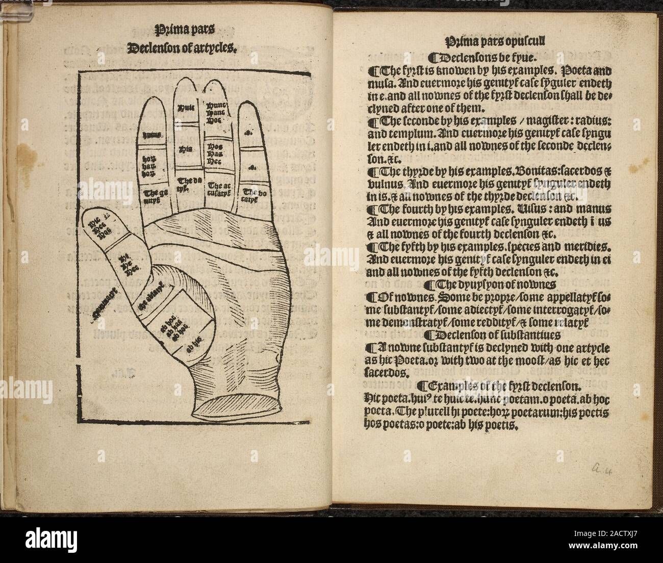 A diagram of a hand Stock Photo - Alamy