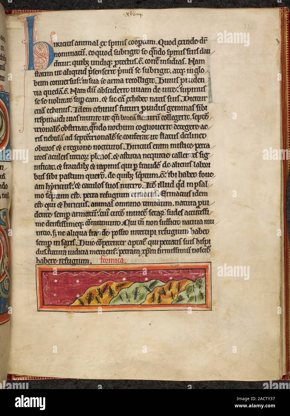 Insects in a colony. A collection of ants, Bestiary, with extracts from ...