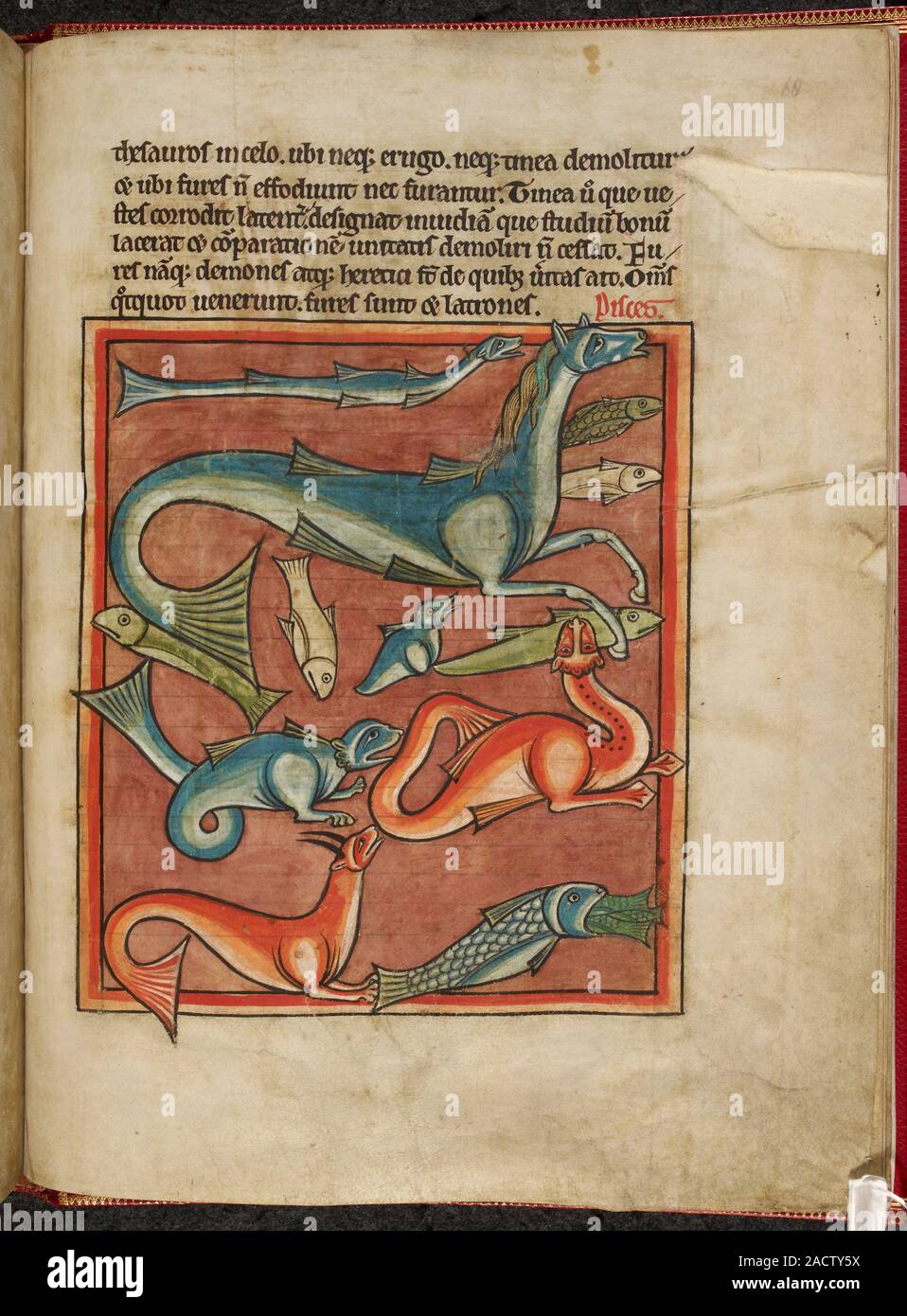 Pisces, winged animals with fins, and long tails. Amphibians or ...