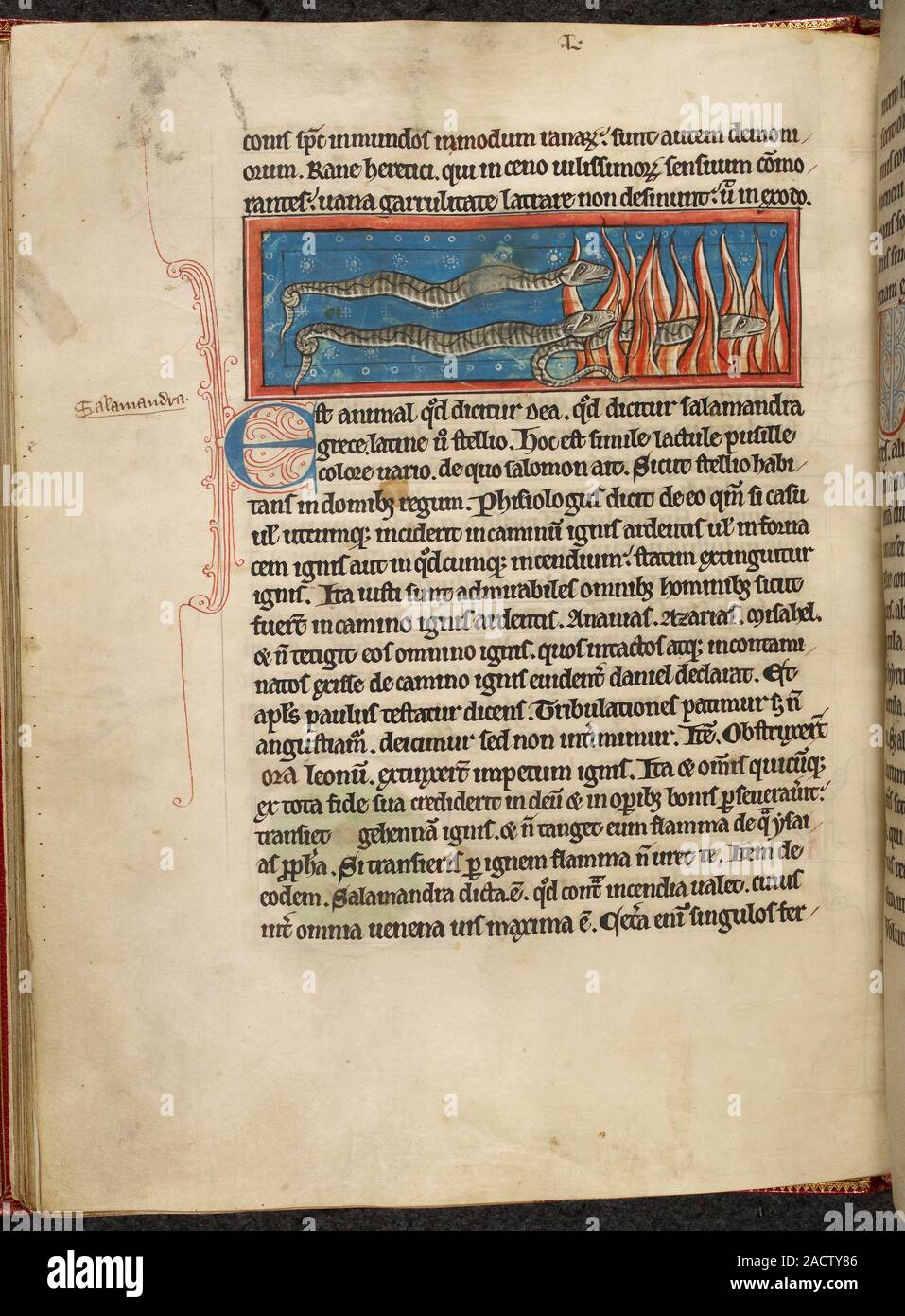 Three salamanders or snakes writhing through flames of fire ...