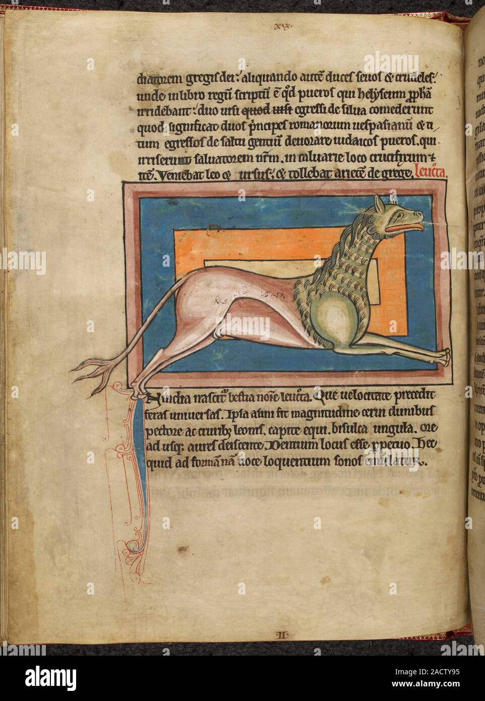A mythical beast with long legs and a long neck. Tail. Leucca, Bestiary ...