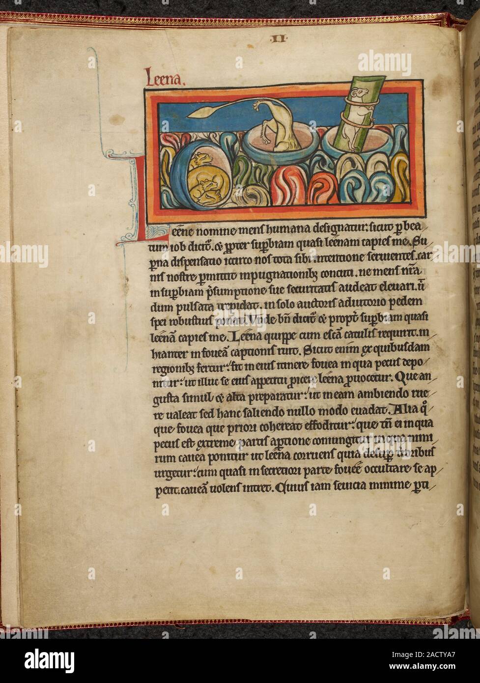 A group of animals, including a ram, labelled 'Leena'. An animal with a ...