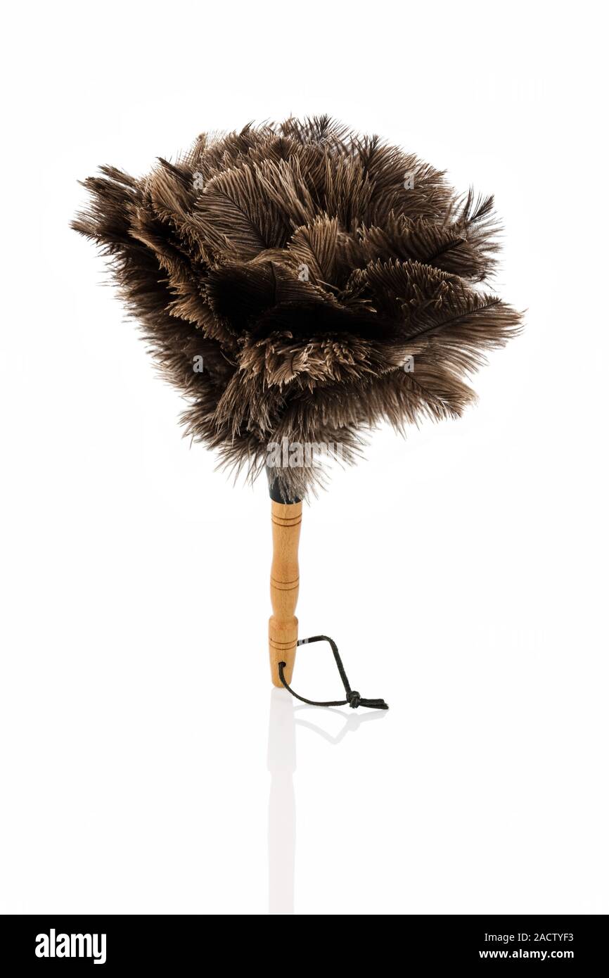 Duster on a white background Stock Photo - Alamy