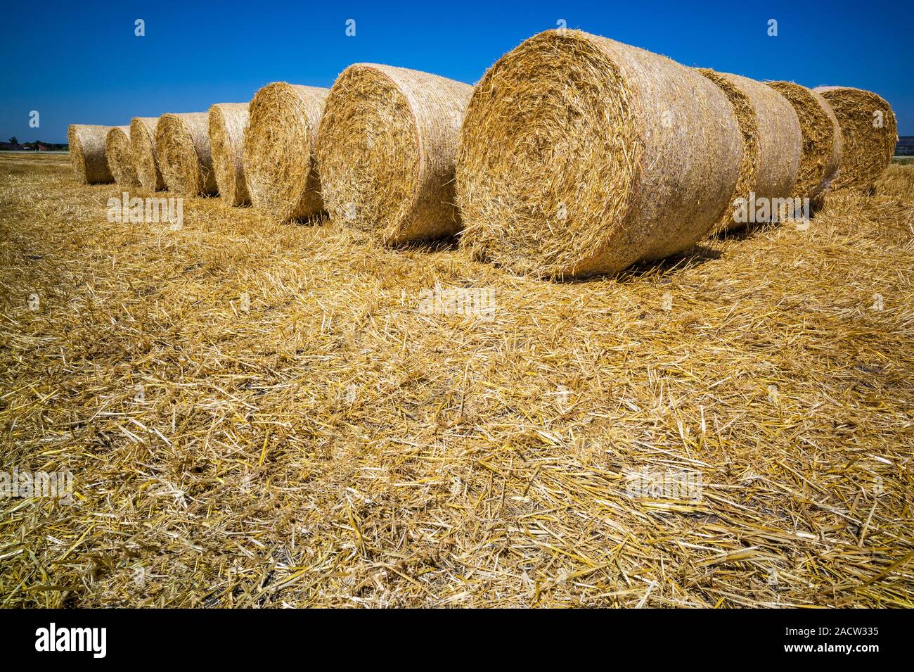 Grain bales from straw Stock Photo - Alamy