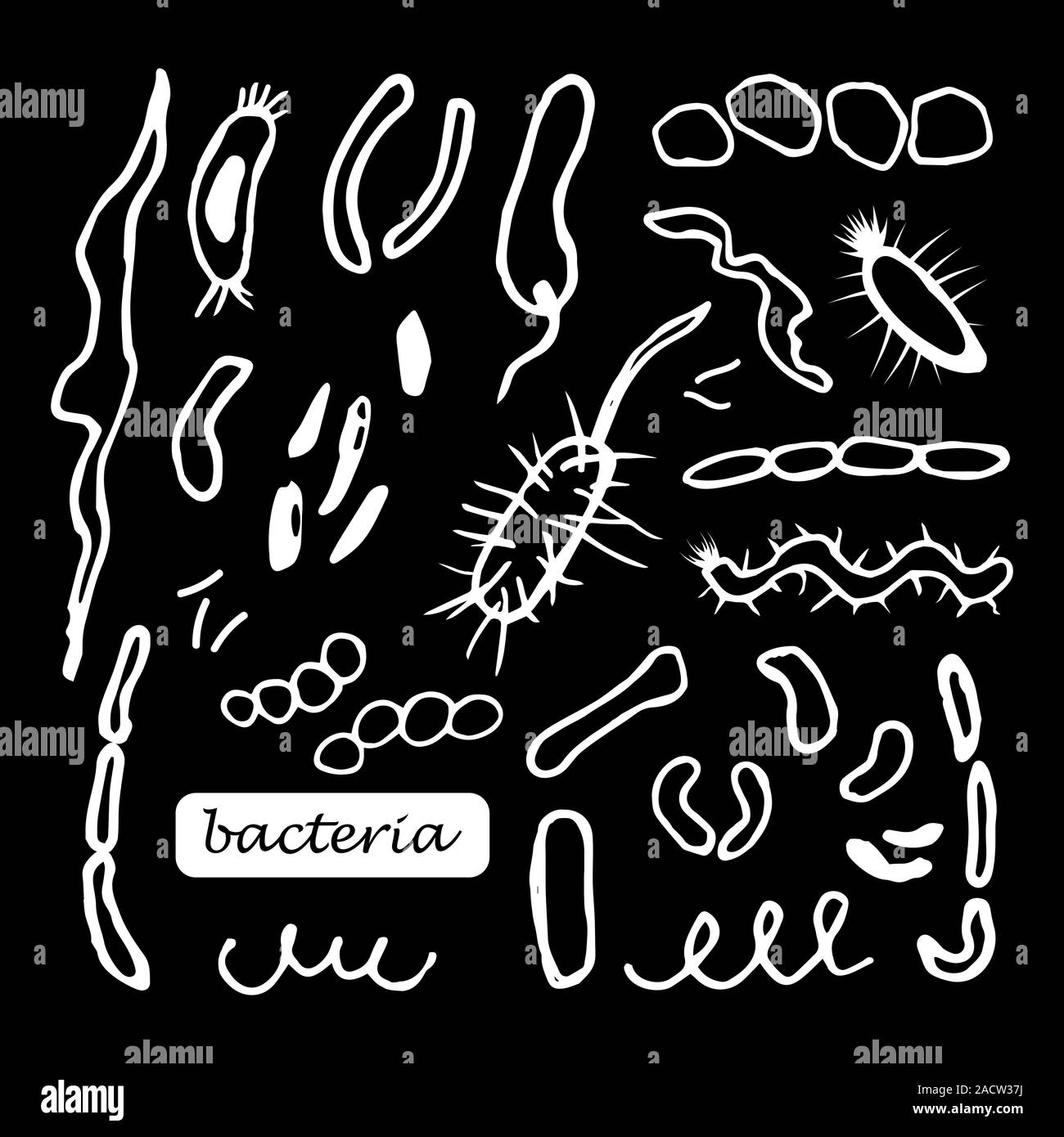 Vector set hand drawn bacteria, microbe and virus isolated on black ...