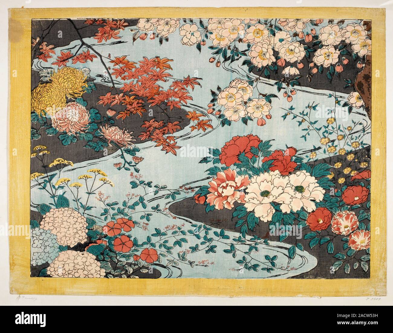 Flowers and water, Flowers with water flowing between them. Image taken ...