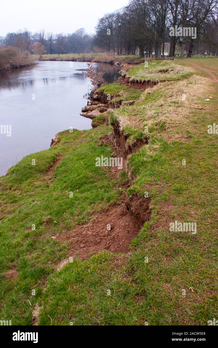 Slumping of the bank of the Eden River in Carlisle's Rickerby Park ...