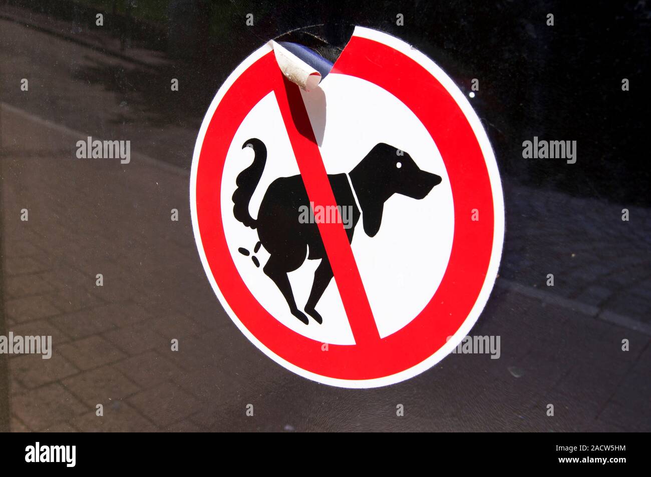 Sign on window in Luxembourg warning dog owners that defecation is not ...