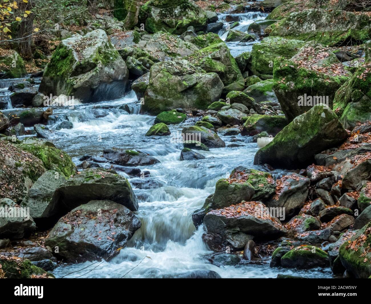 Stream with running water Stock Photo - Alamy