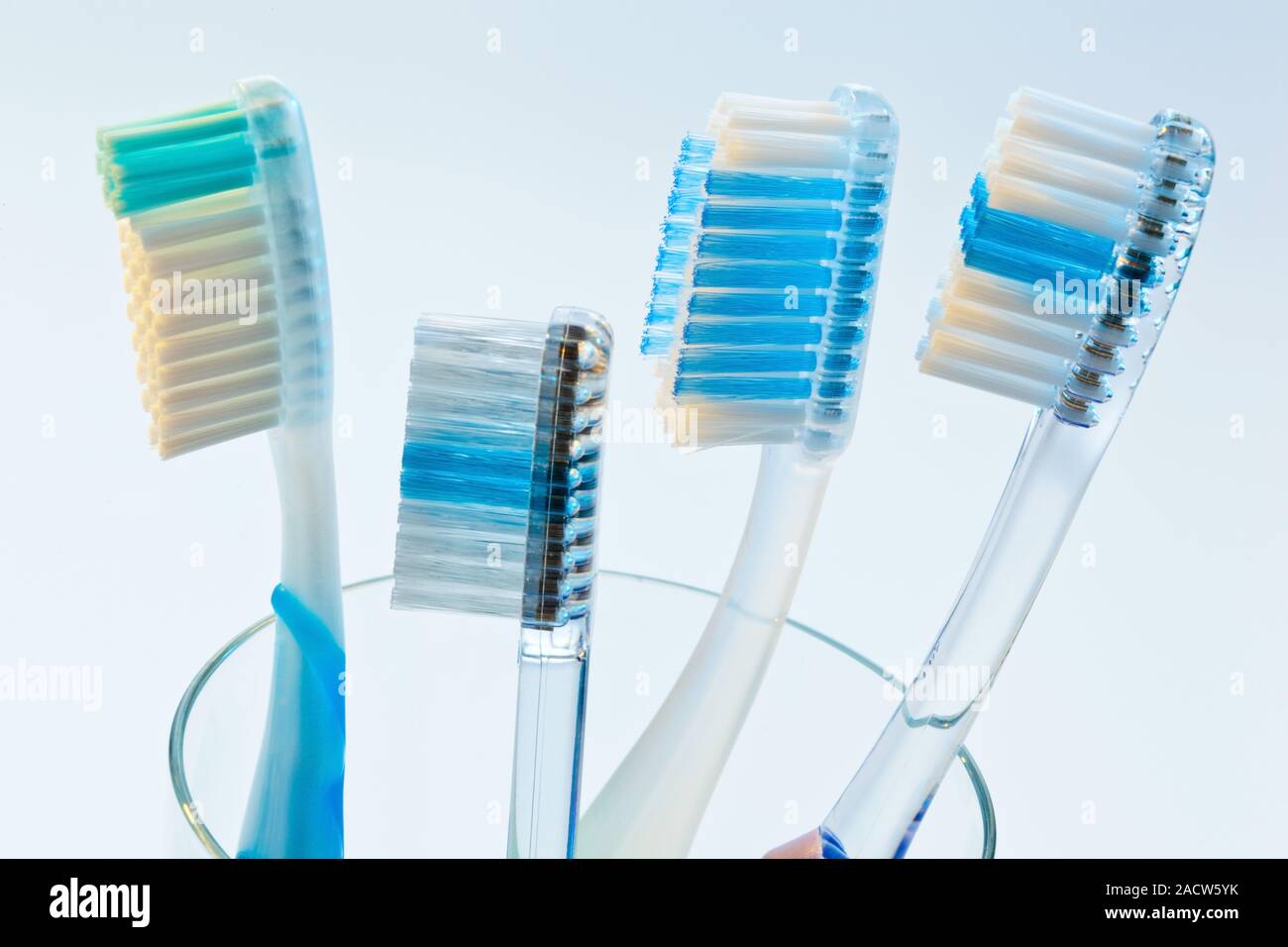 Toothbrushes for brushing teeth Stock Photo - Alamy