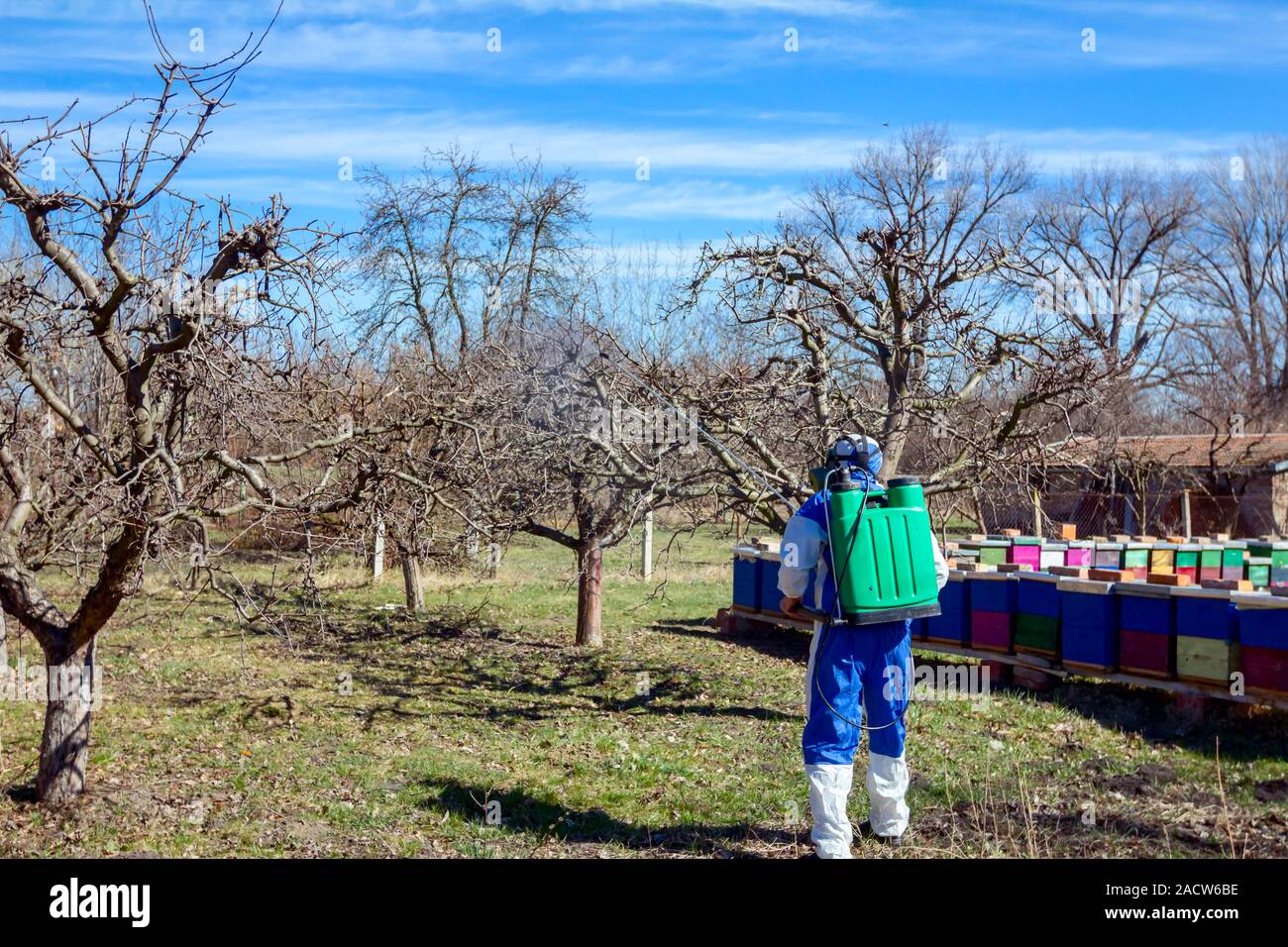Farmer in protective clothing and gas mask sprays of fruit trees in ...