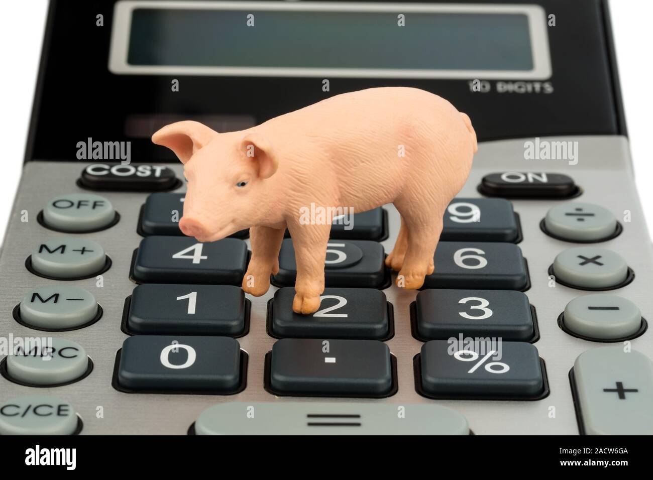 Pig and calculator Stock Photo - Alamy