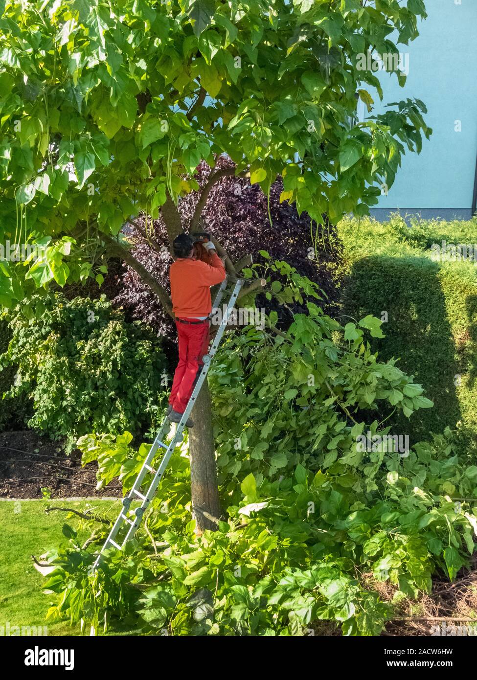 Gardeners at work Stock Photo - Alamy