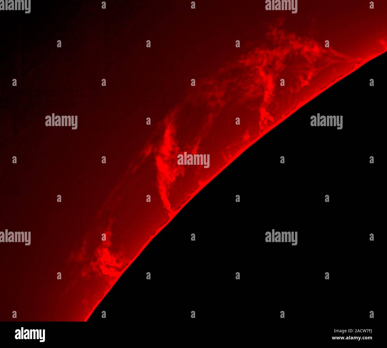 Solar prominences. Close-up of the surface of the Sun, showing ...