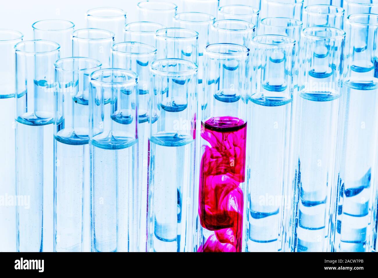 Laboratory glassware for testing in chemistry laboratory Stock Photo ...