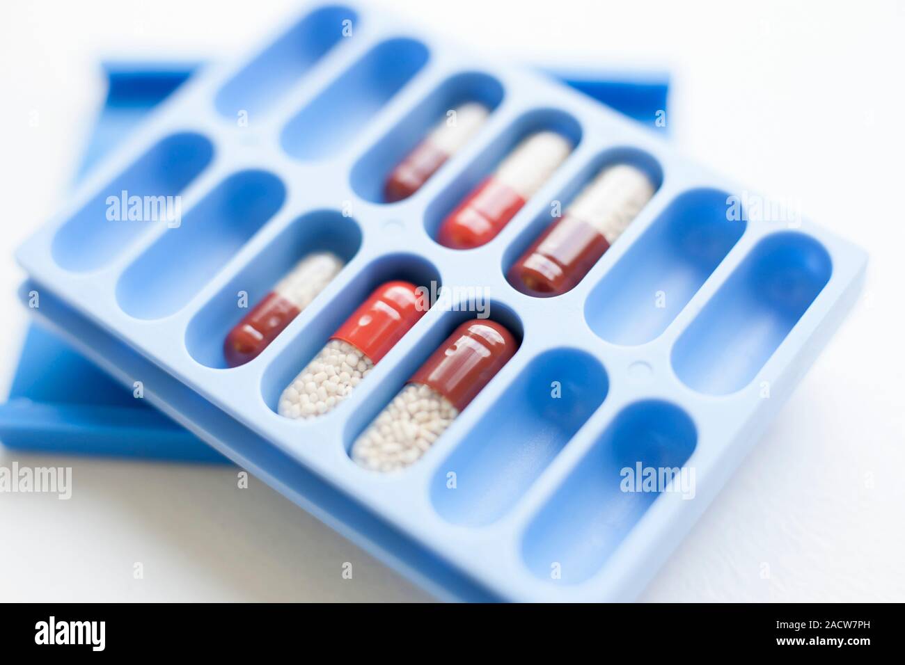 Drug capsules in a tray Stock Photo - Alamy