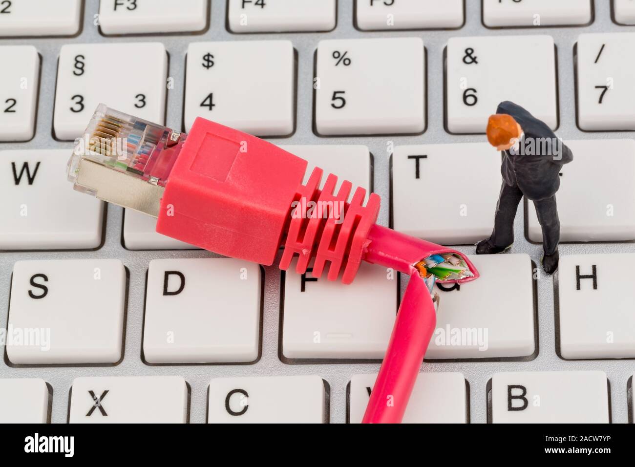 worker, network connector, keyboard Stock Photo - Alamy