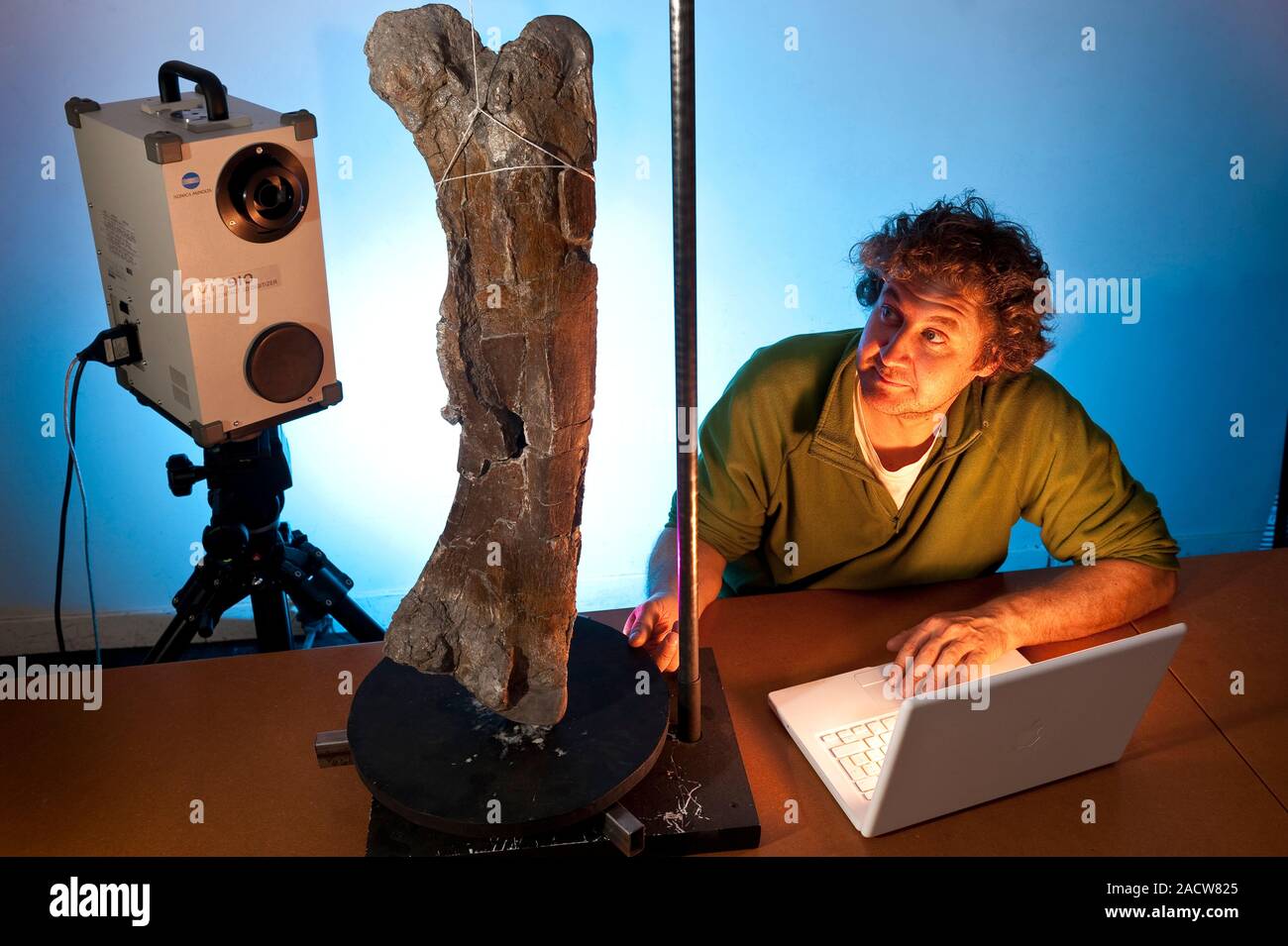 Dinosaur fossil 3D scanning. Palaeontologist scanning the fossilised ...