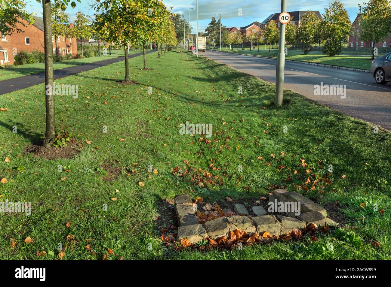 Sustainable urban drainage system (SUDS). Roadside drainage system in a ...
