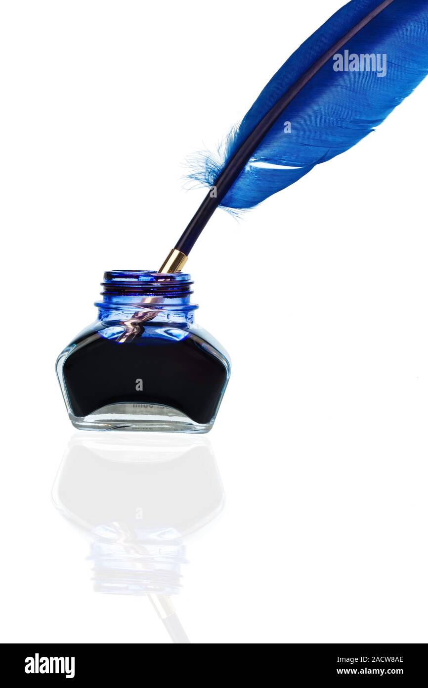 Blue quill feather Stock Photo - Alamy