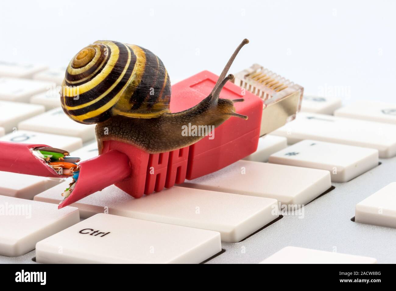 Slow Internet Access Stock Photo - Alamy