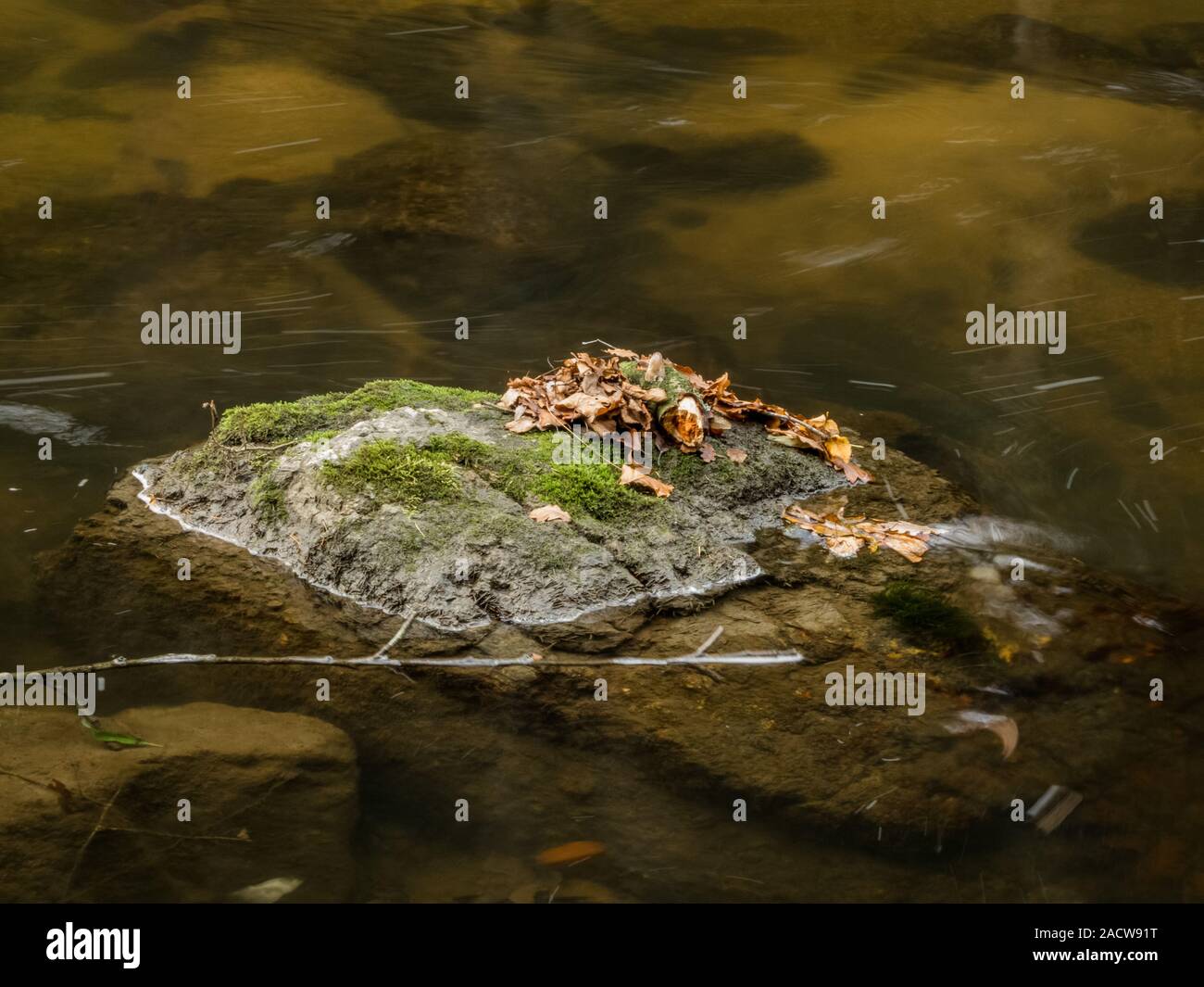 Stream with running water Stock Photo - Alamy