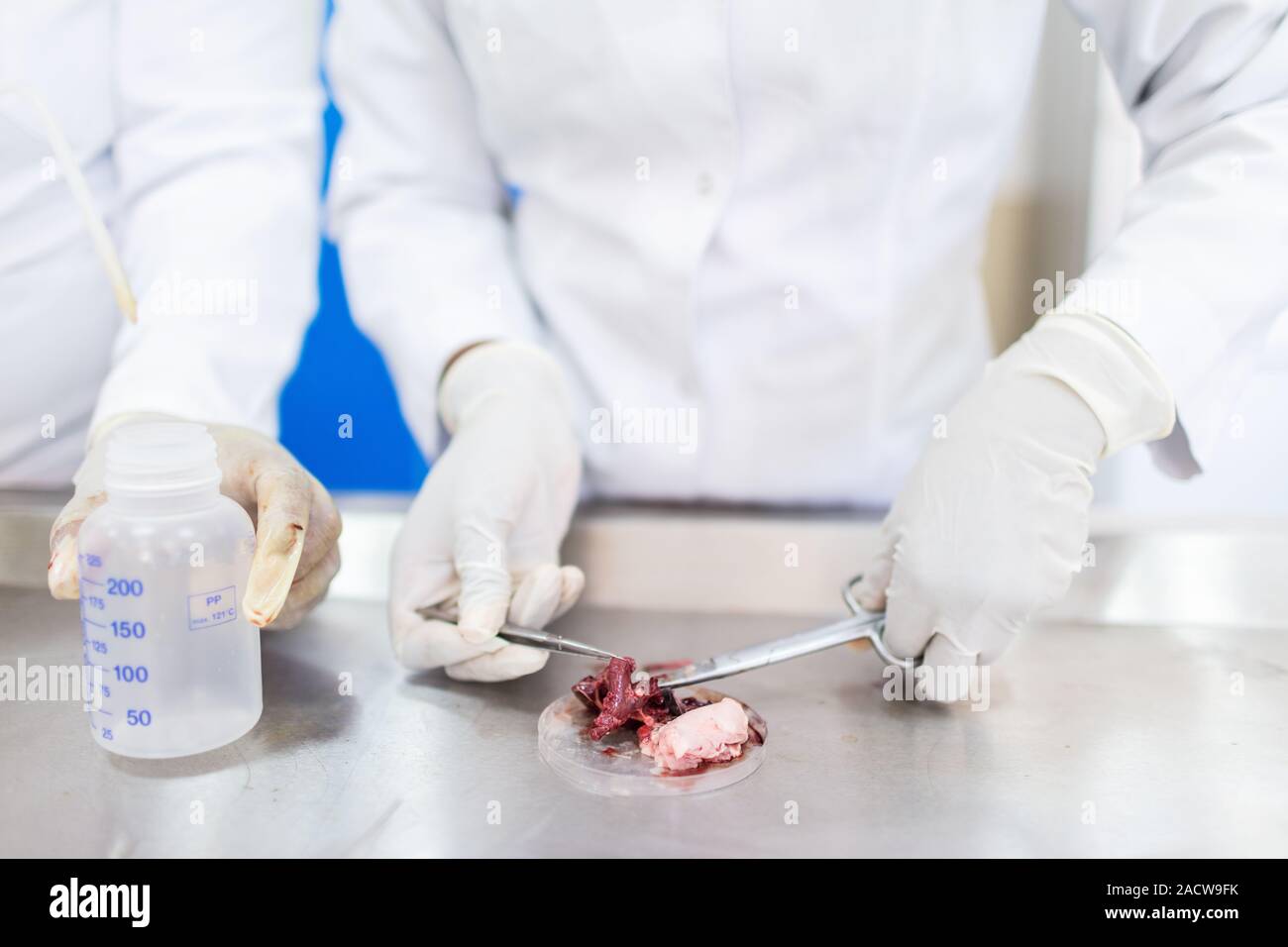 Fish processing laboratory hi-res stock photography and images - Alamy