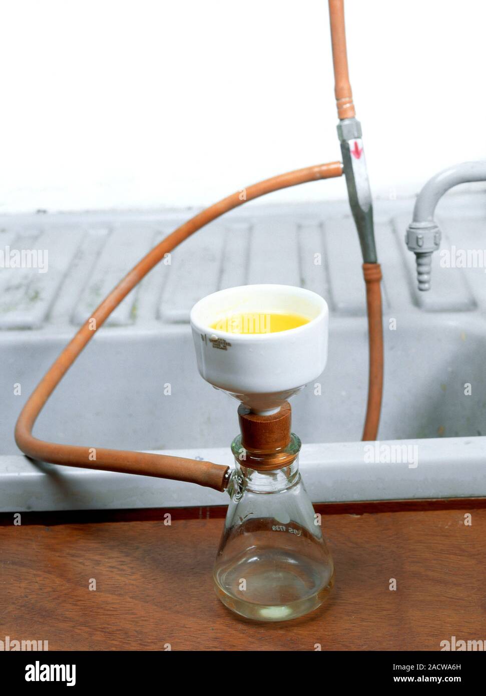 Buchner flask being used to filter lead iodide. A Buchner flask is used ...