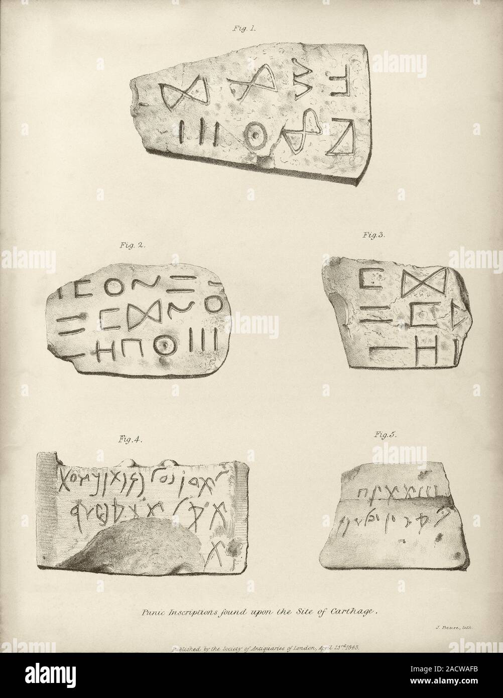 Punic inscriptions from Carthage. 19th-century artwork of five sets of ...