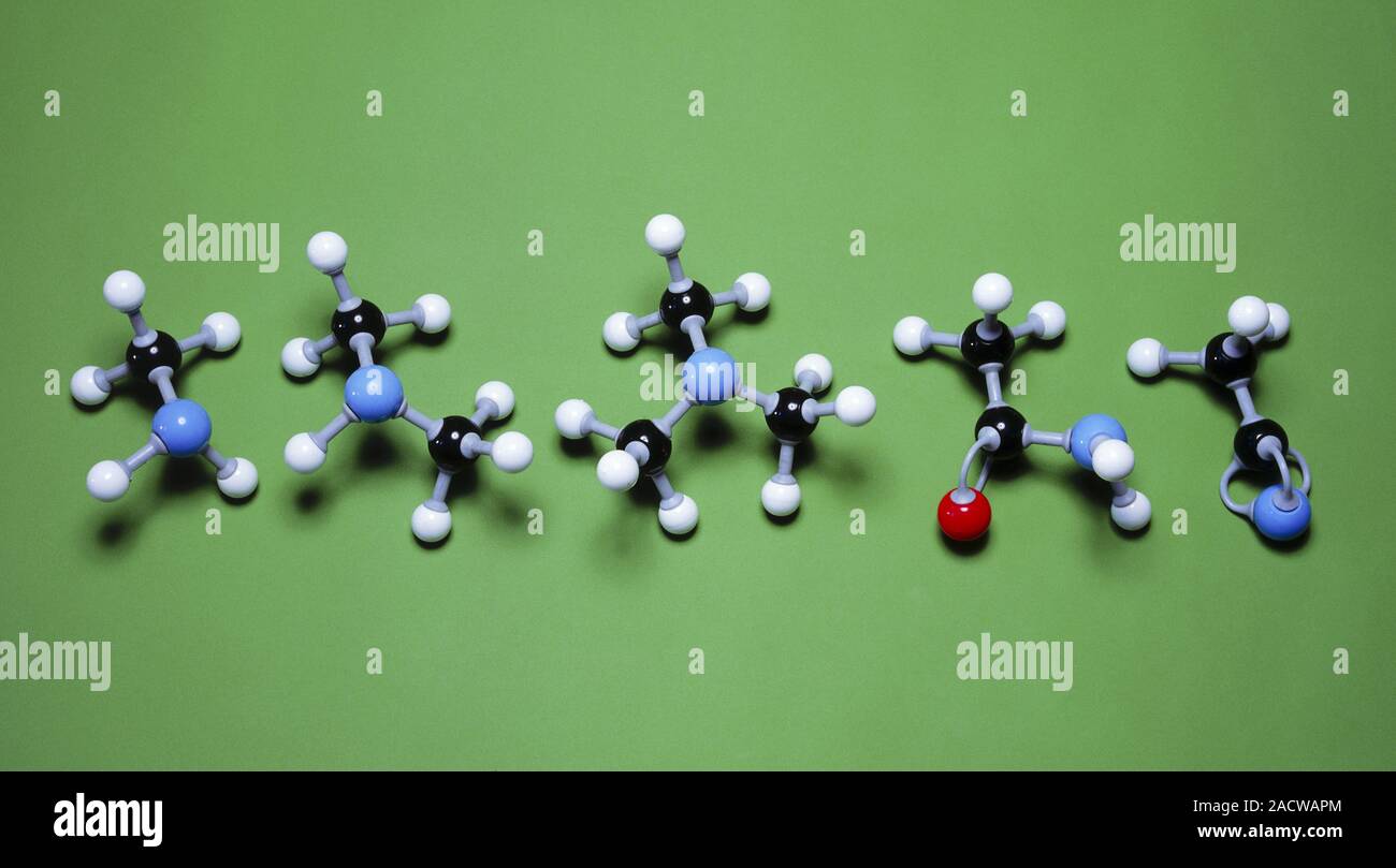 Organic molecules with nitrogen. From left to right are: methylamine ...