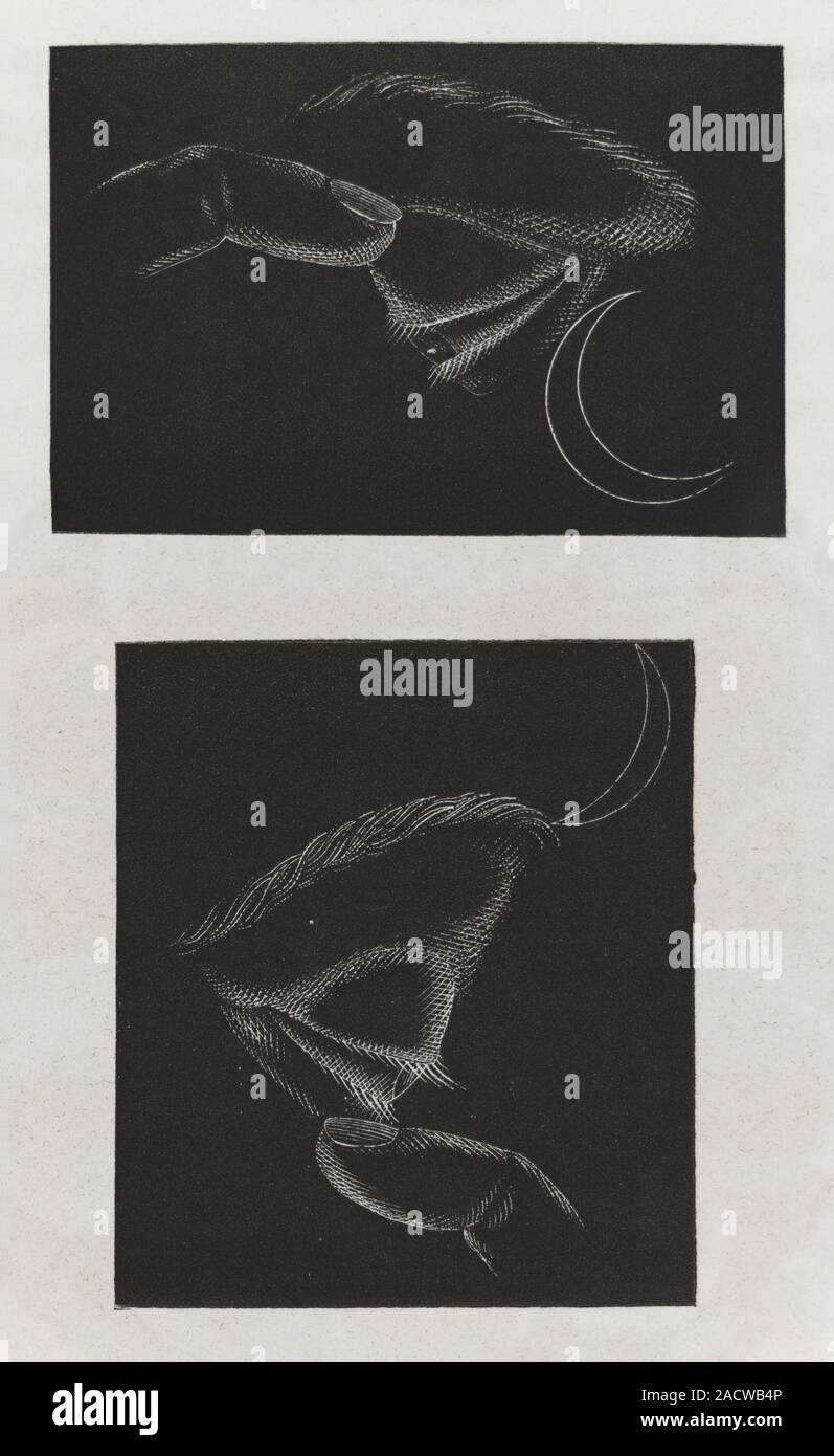 Phosphenes and retinal images. 19th-century artwork of a person ...