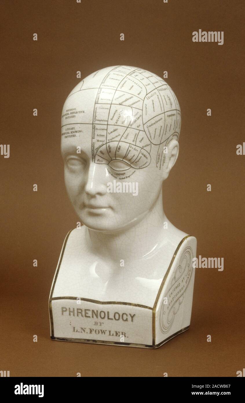 Ceramic phrenology head, by L.N. Fowler dating from around 1850 ...