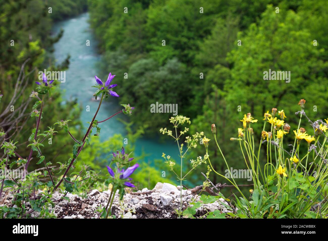 The Neretva River in a canyon, Bosnia and Herzegovina Stock Photo - Alamy