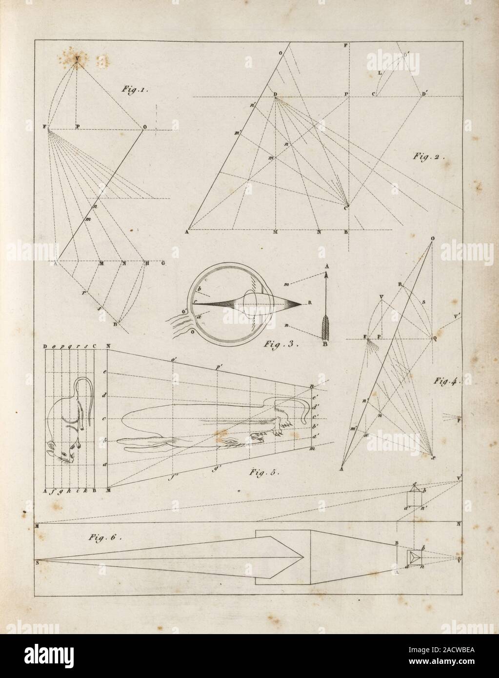 Drawing linear perspectives. 19th-century projections demonstrating ...