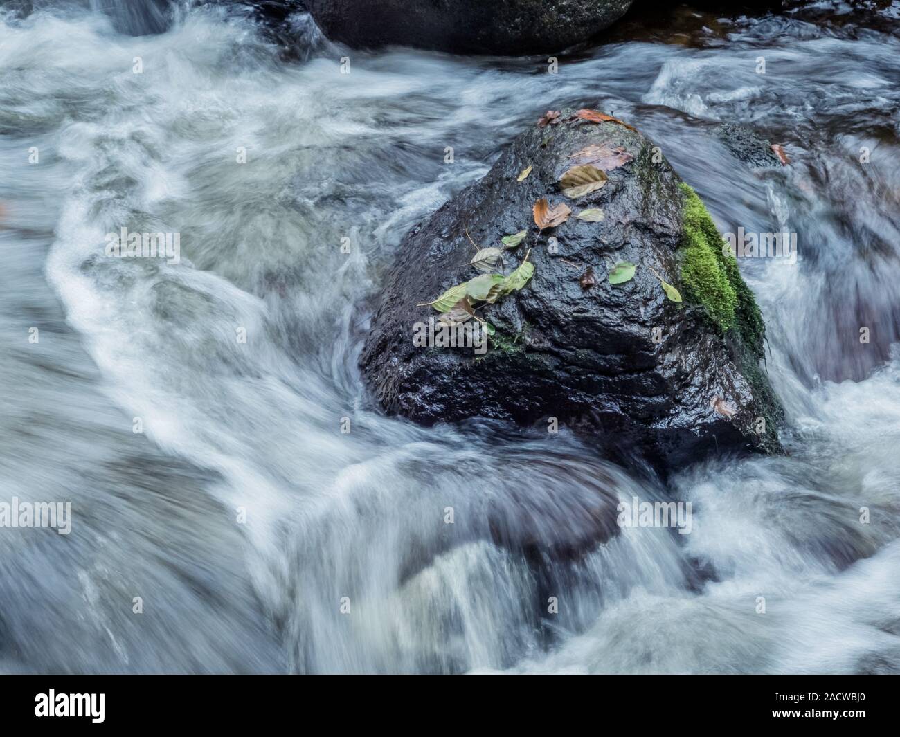 Stream with running water Stock Photo - Alamy
