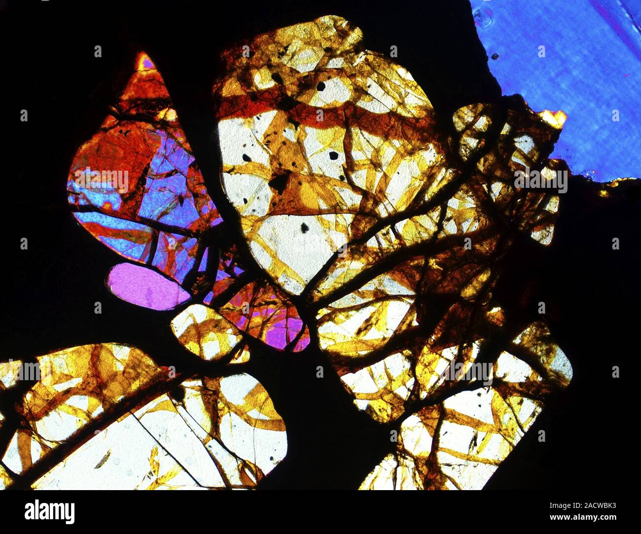 Polarised Light Micrograph Of A Thin Section Microscopic Slide Of The Pallasite Stony Iron Type