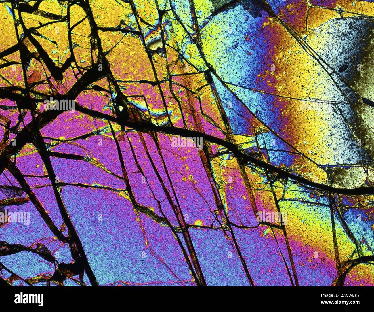 Polarised Light Micrograph Of A Thin Section Microscopic Slide Of The Pallasite Stony Iron Type
