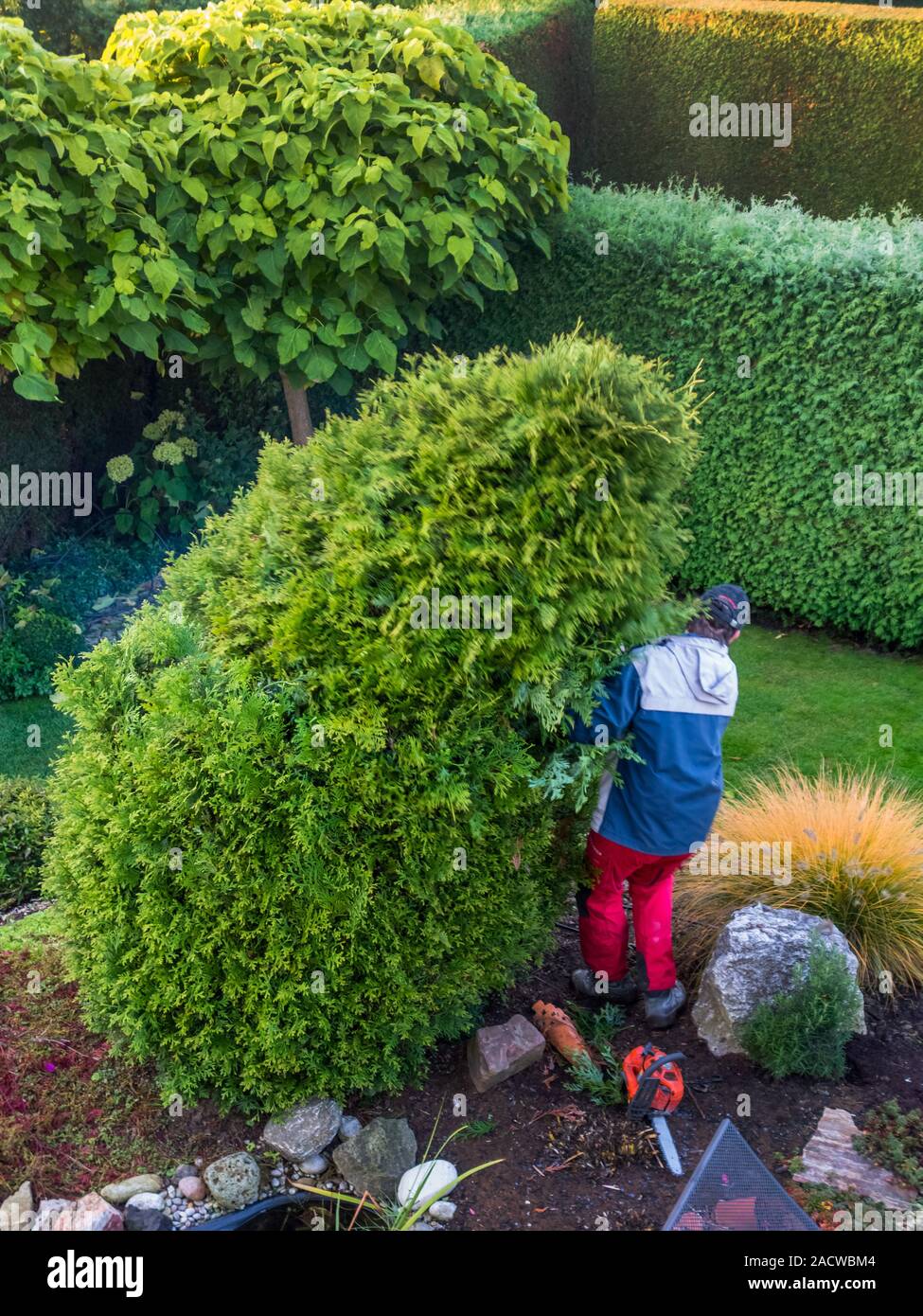 Gardeners at work Stock Photo - Alamy
