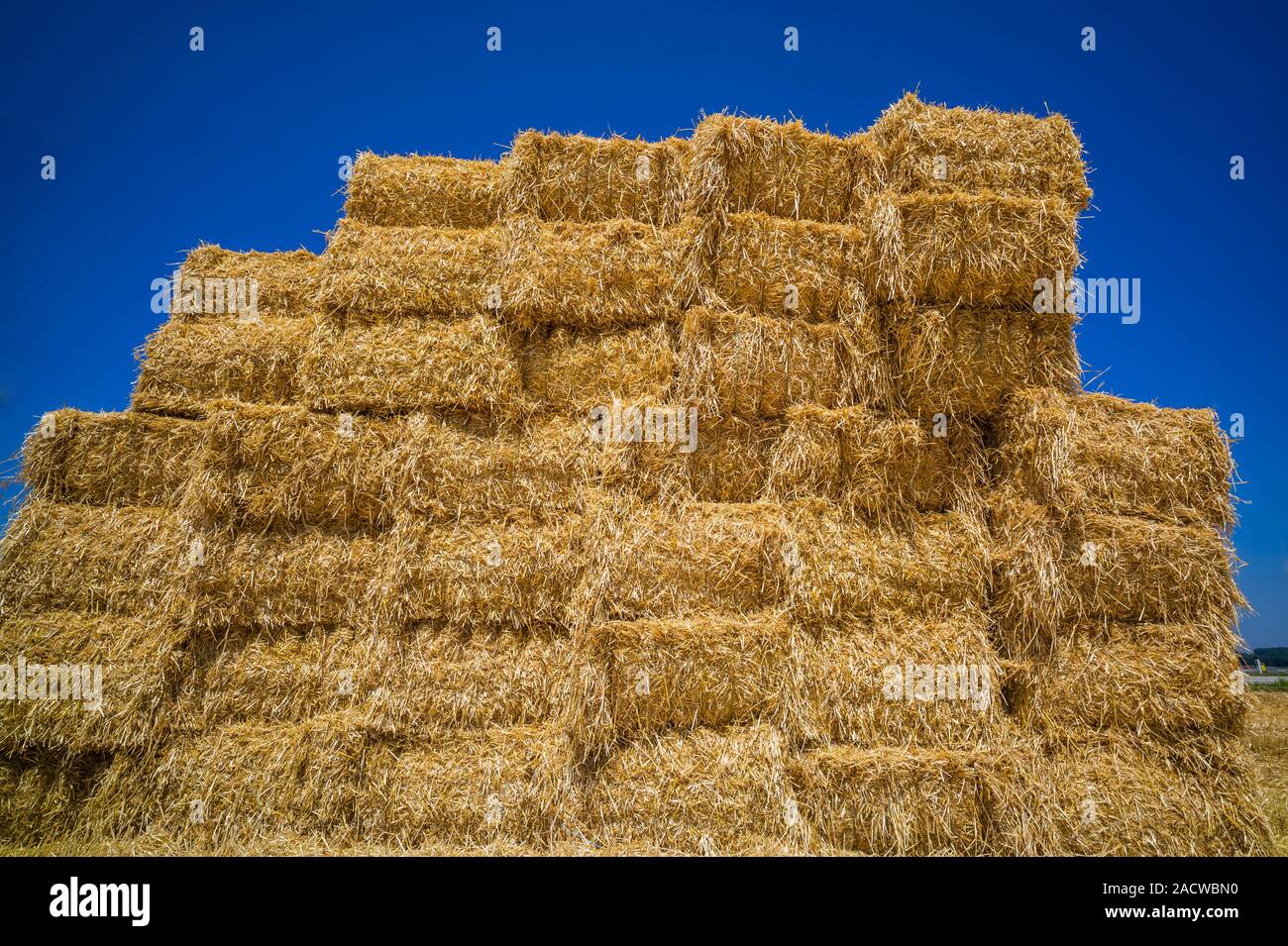 Grain bales from straw Stock Photo - Alamy