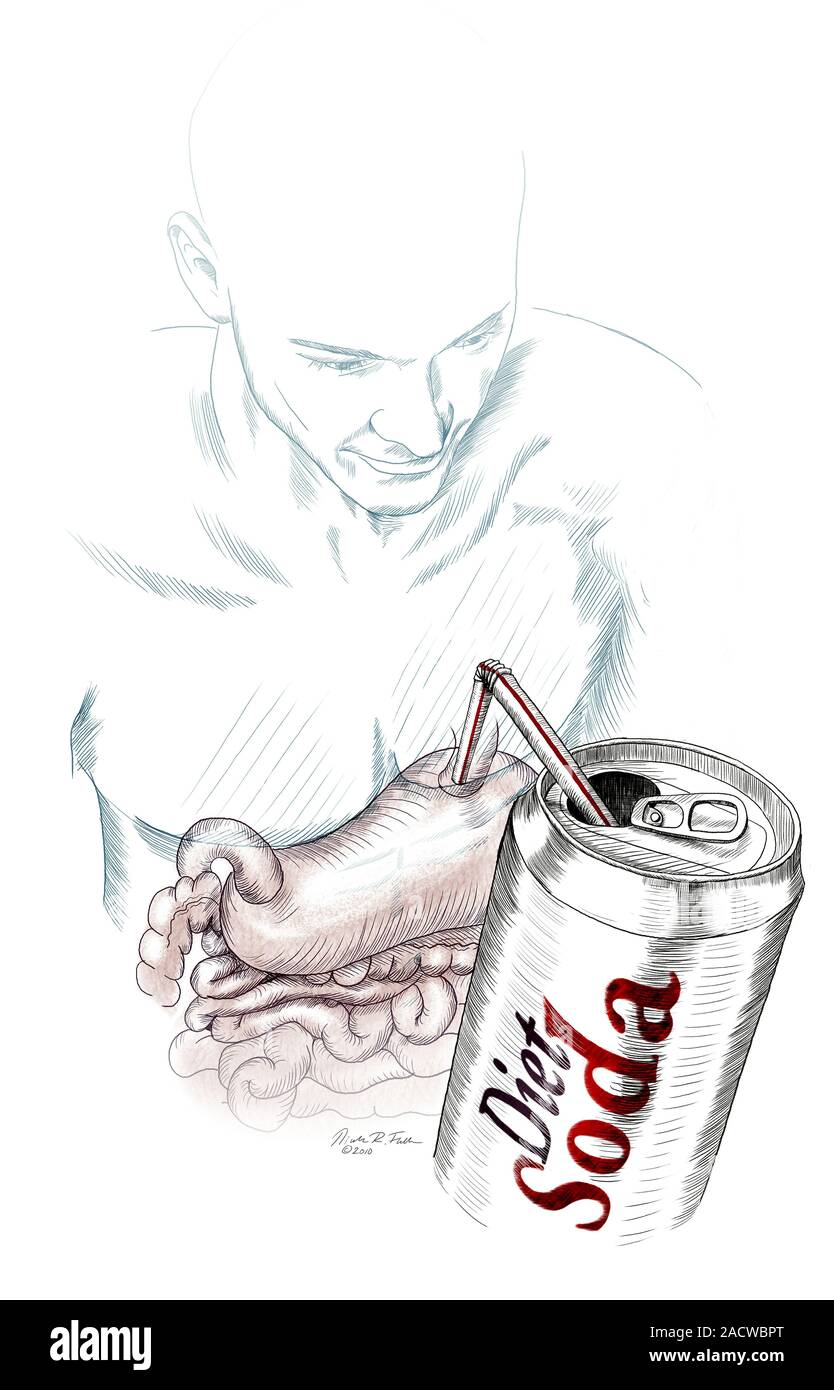 Intestinal taste receptors. Artwork of a soft drink can and a view of ...